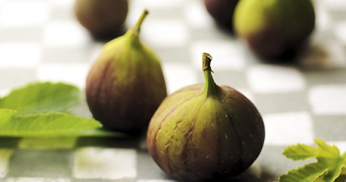 Food and Travel Magazine | Fig