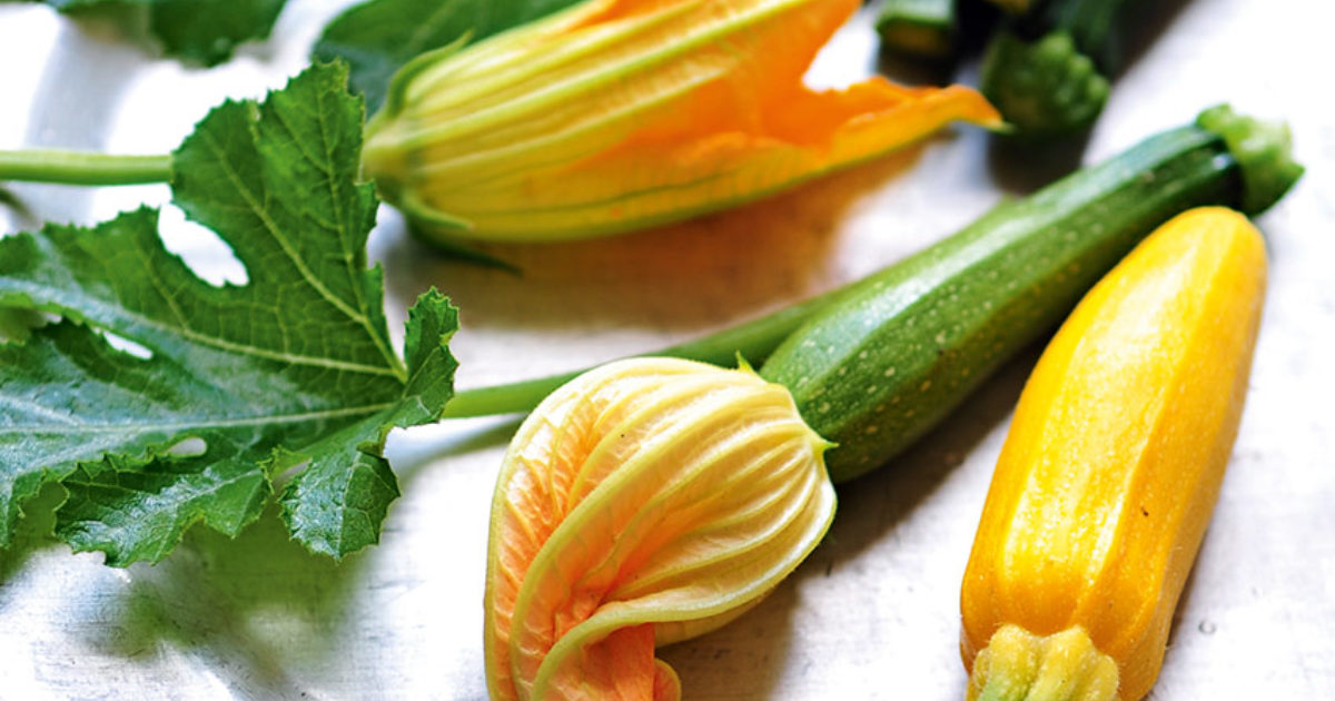 Food and Travel Magazine | Our favourite courgette recipes