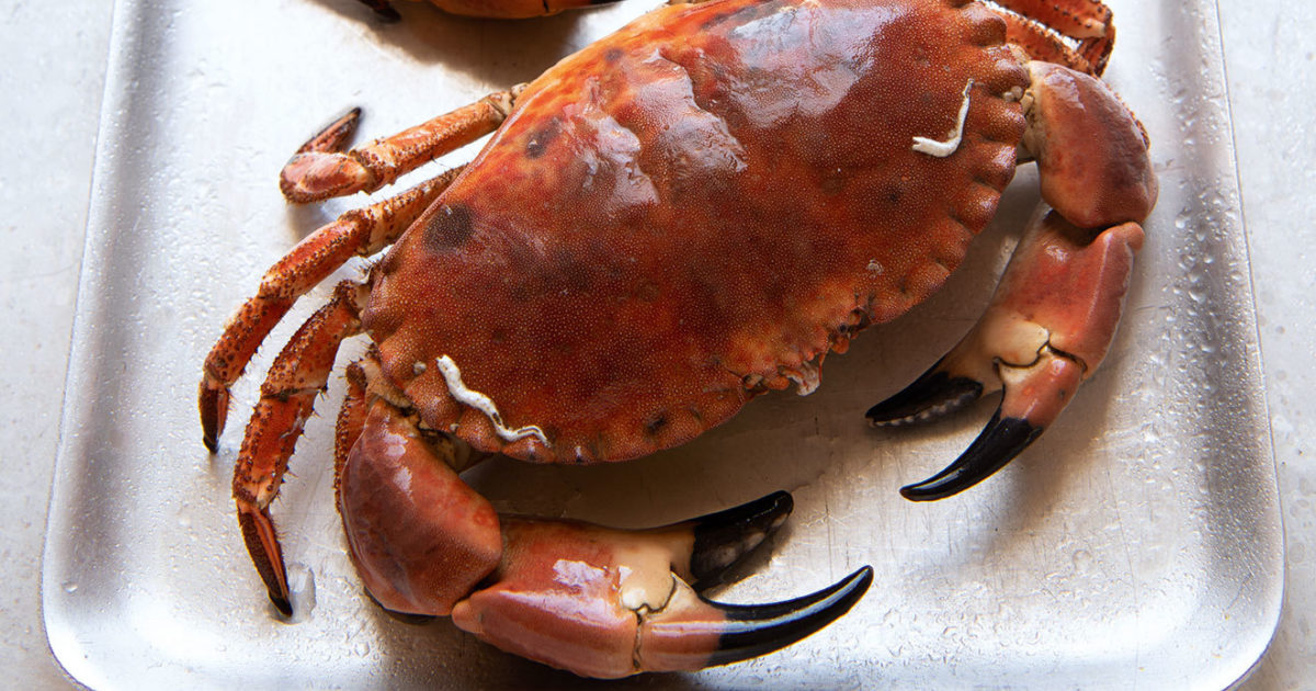 Food and Travel Magazine | How to cook a crab