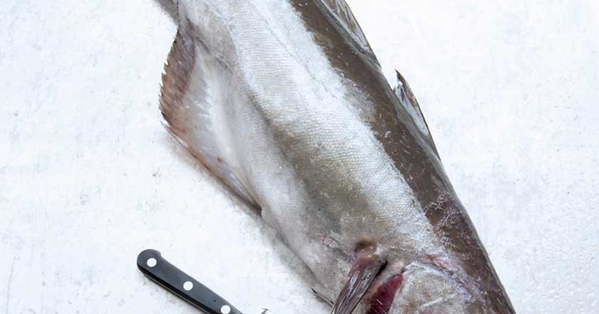 Food and Travel Magazine | Pollock