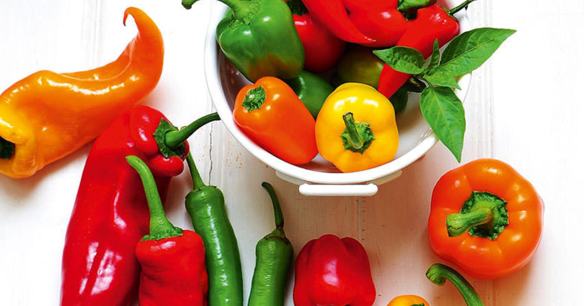 Food and Travel Magazine | Our favourite pepper recipes