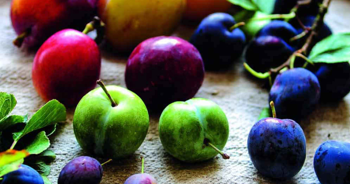 Food and Travel Magazine | Our favourite plum recipes
