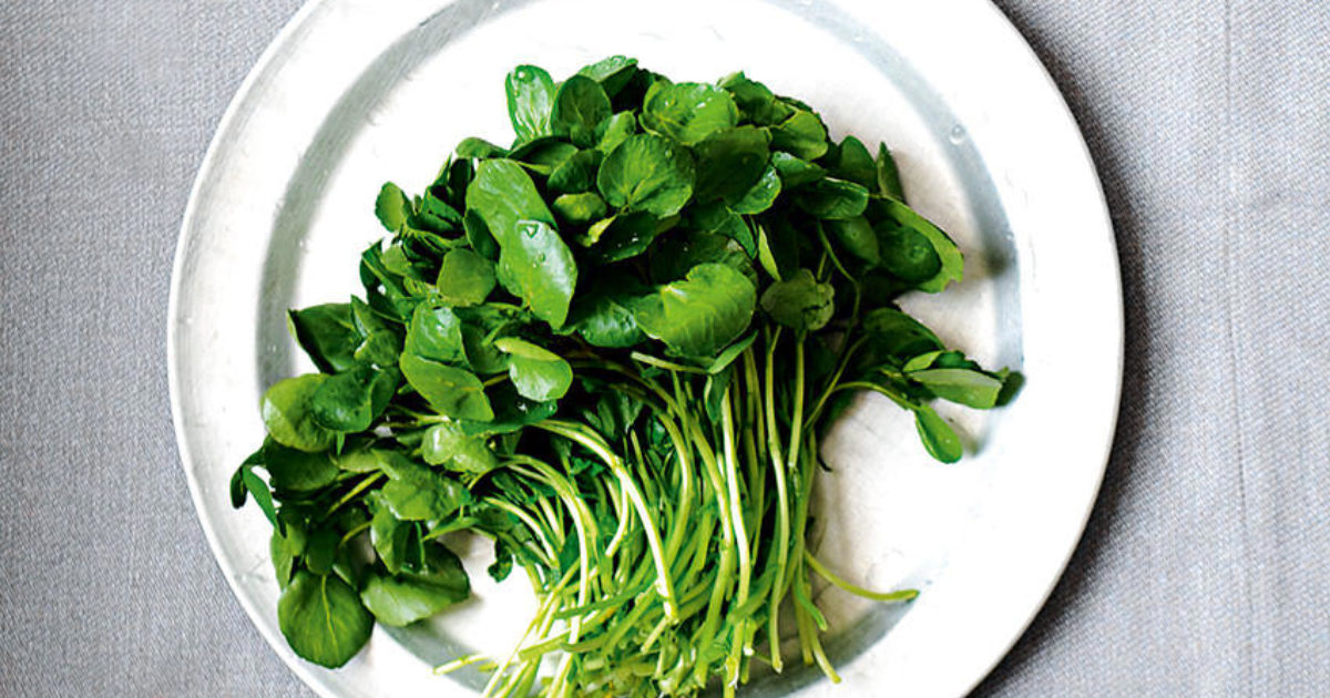 Food and Travel Magazine | What to cook with watercress