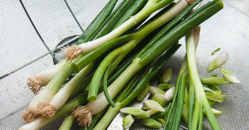 matrix spring onions