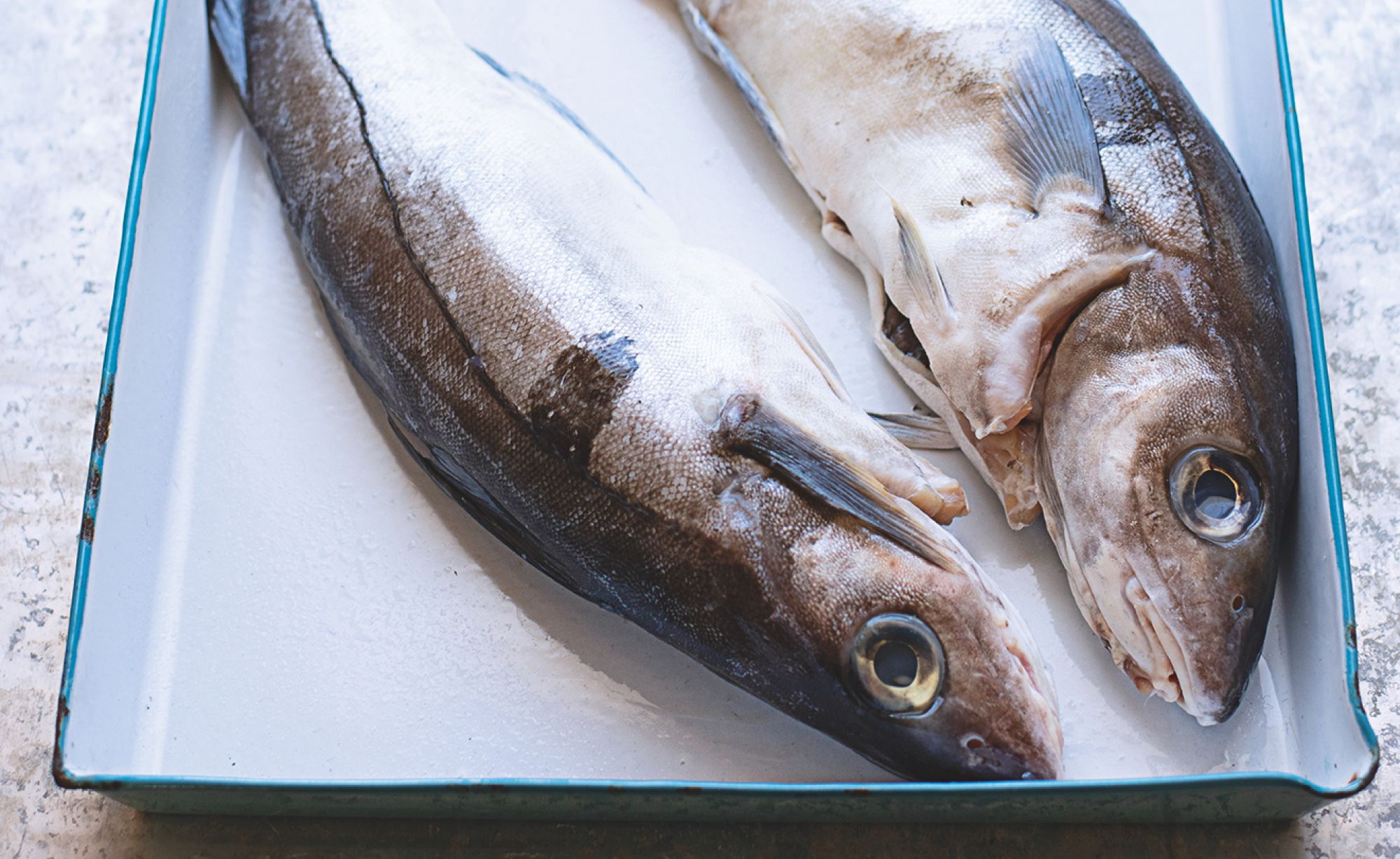 Food | Food and Travel magazine